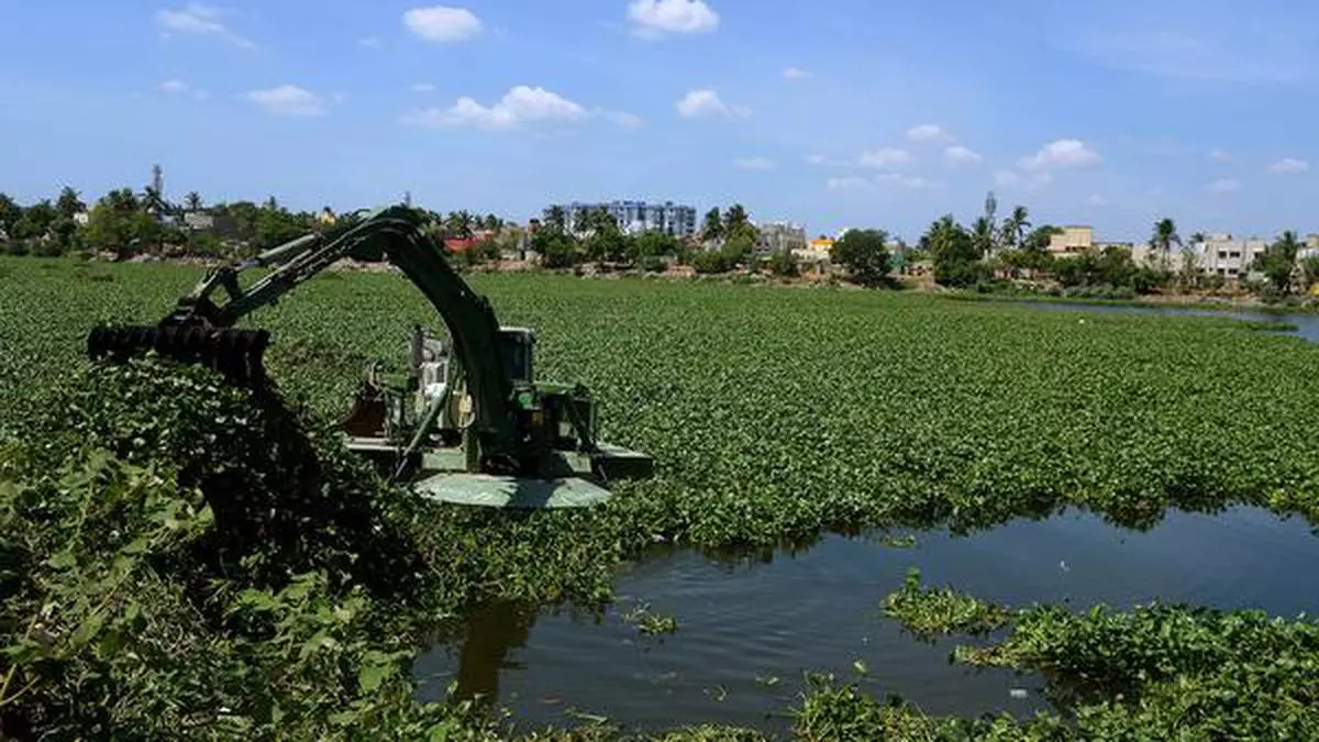 The International Crops Research Institute for Semi-Arid Tropics ...