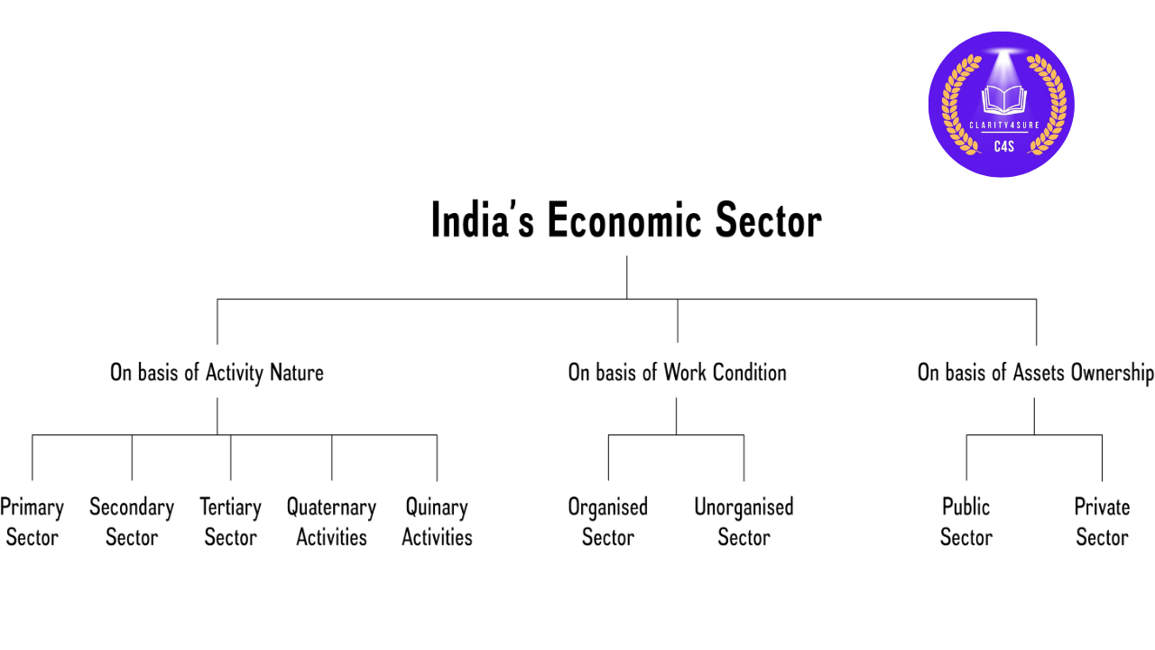 Sectors of Indian Economy: Primary, Secondary & Tertiary Explained