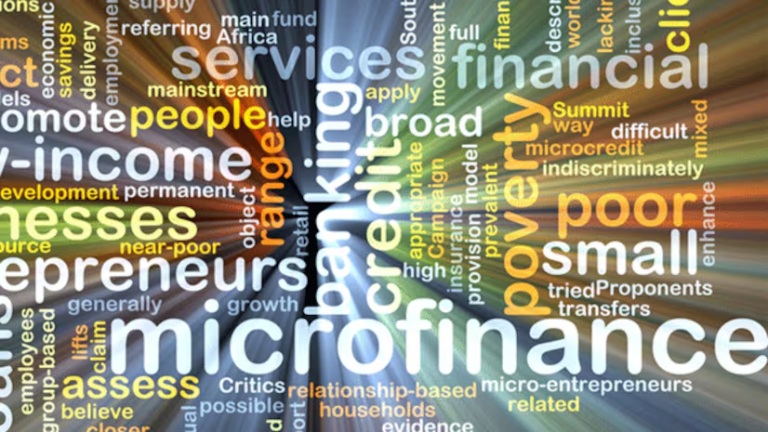 Microfinance Institutions - C4S Courses